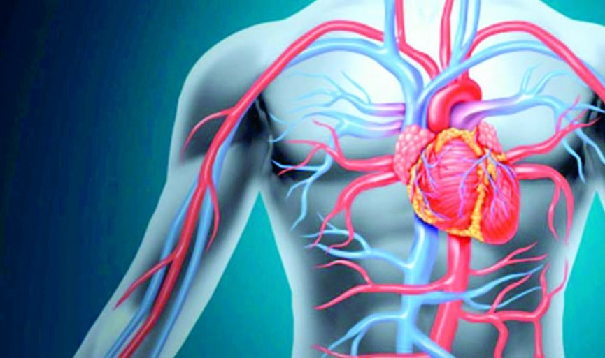 Kalp ritim bozukluğu | Şalom Gazetesi - 12.06.2024