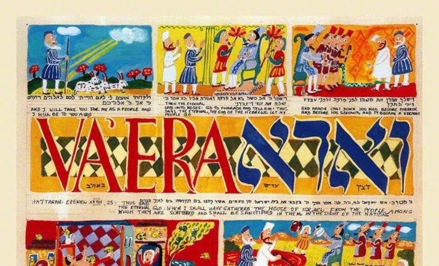 Vaera | Şalom Gazetesi