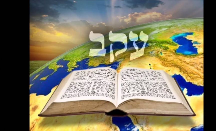 Ekev | Şalom Gazetesi