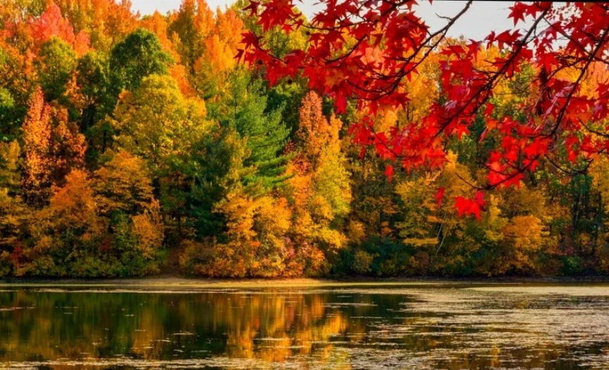 EL MEZ DE SEPTIEMBRE | Şalom Gazetesi