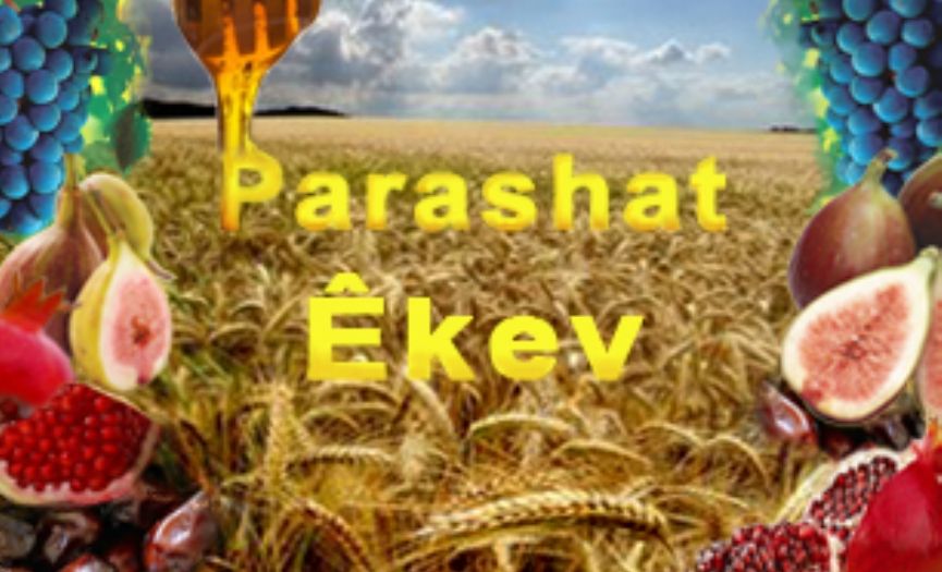 Ekev | Şalom Gazetesi