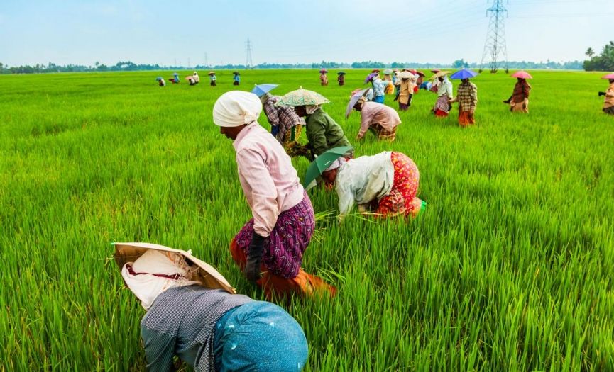 Pas en el payis, pas en el mundo | Şalom Gazetesi